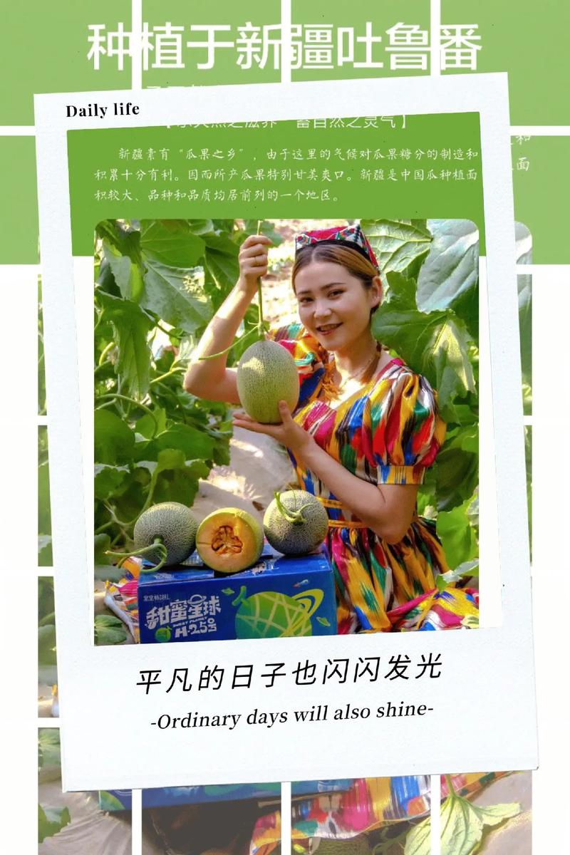 哈密瓜赚钱app正式版截图