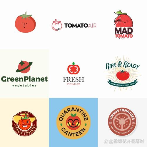番茄小组图标
