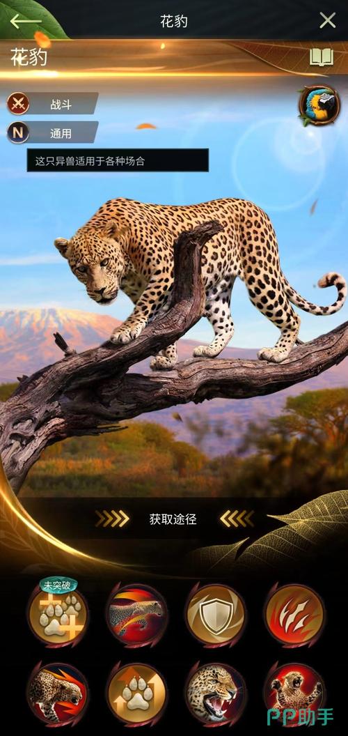 花豹影视图标