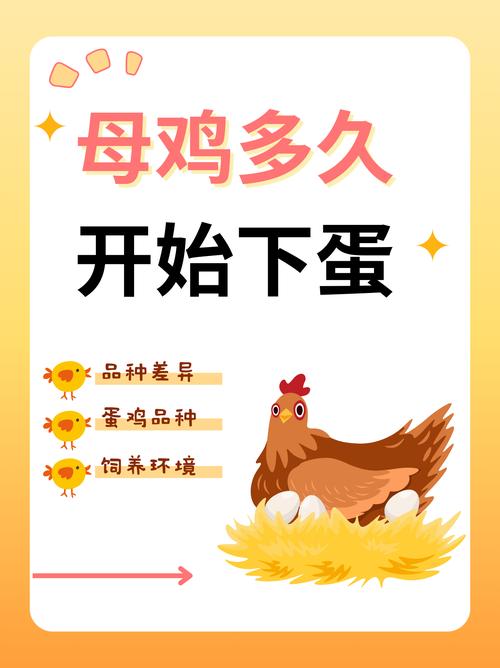 母鸡下蛋红包版app