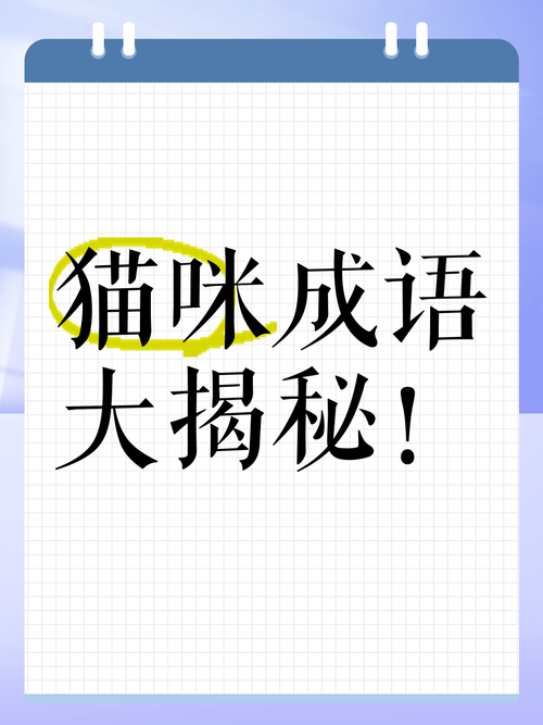 猫咪猜成语截图
