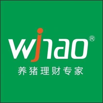 养猪分红截图