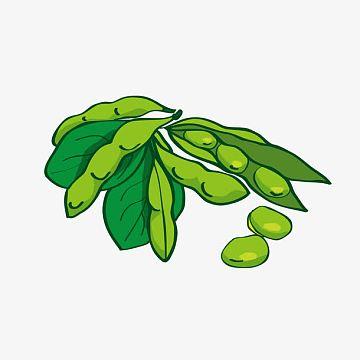 毛豆ai绘图