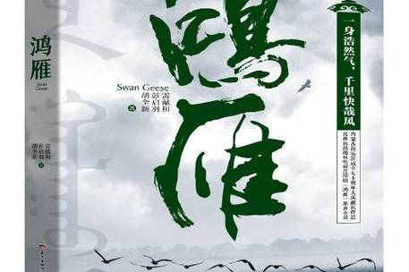 鸿雁免费小说