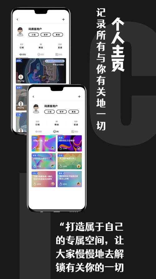 赛客交友网