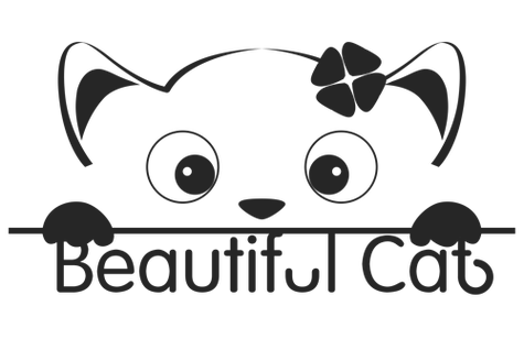 花猫动漫社截图