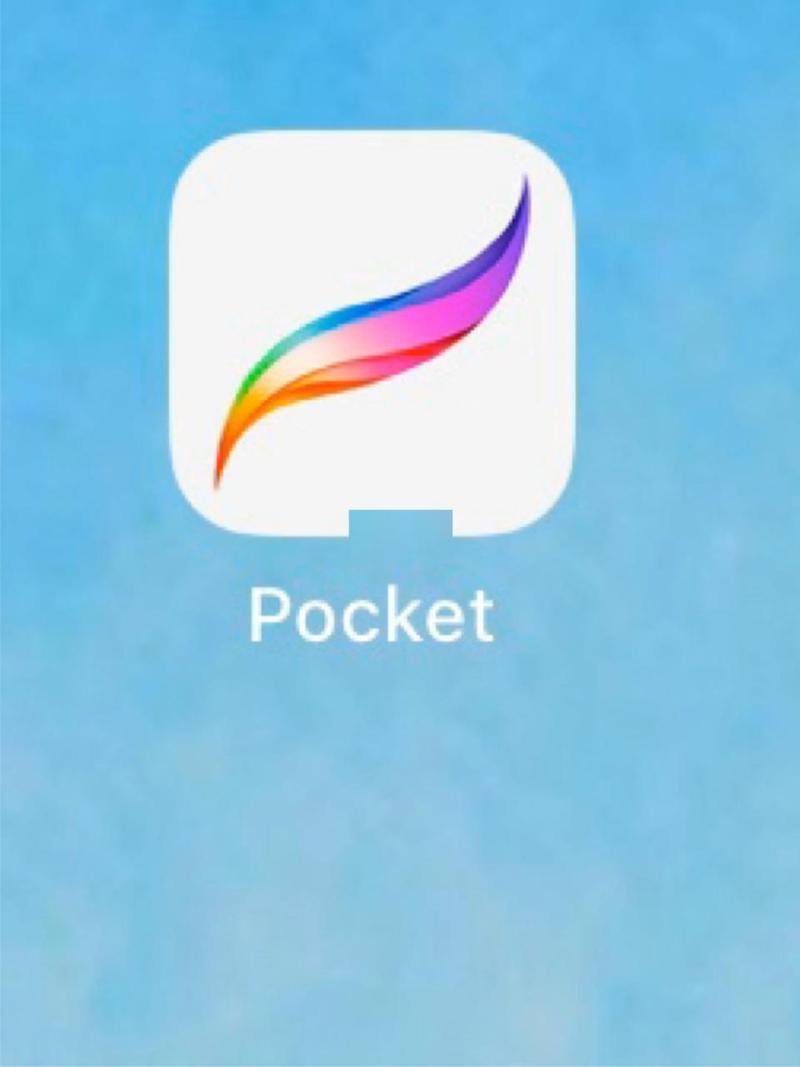 Pocket截图