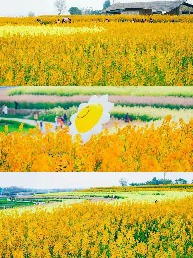 花田视频聊天