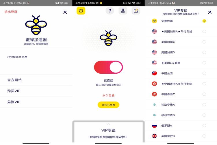 蜜蜂加速器VIP