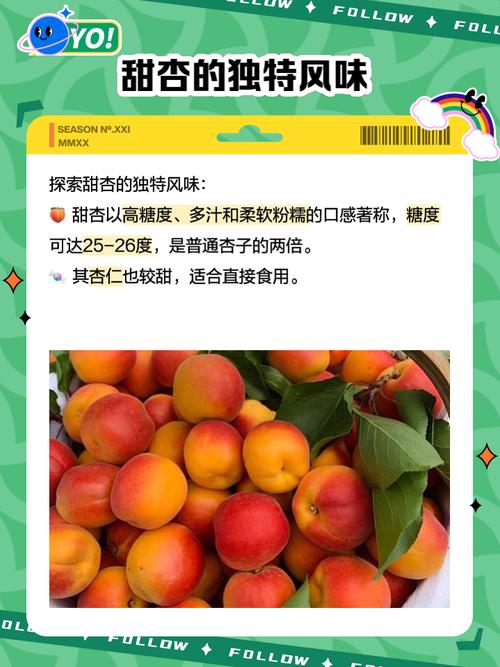 甜杏视频最新版截图