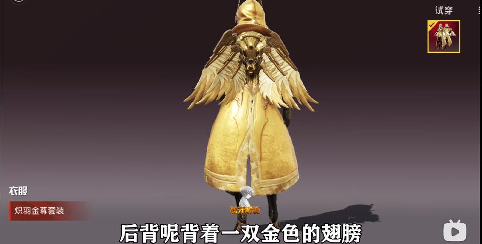 炽羽金尊美化包v1.0截图