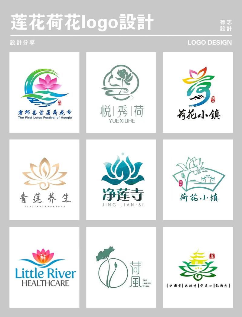 荷花转赚钱app截图