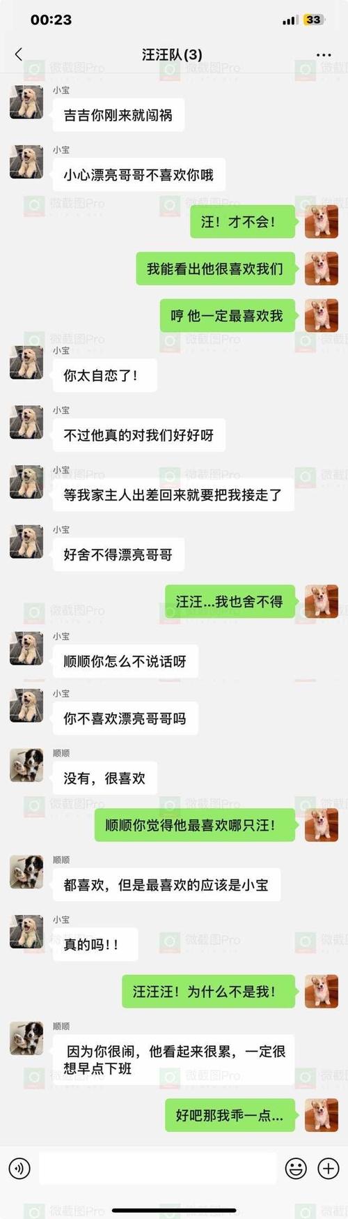 二半(三观交友)