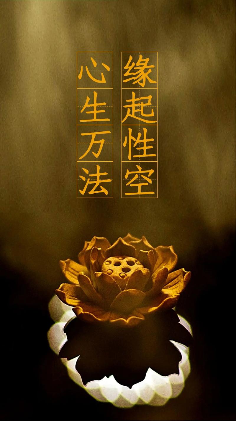 缘起app安卓版图标