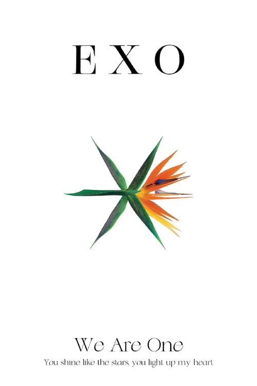 EXO小说加速永久截图