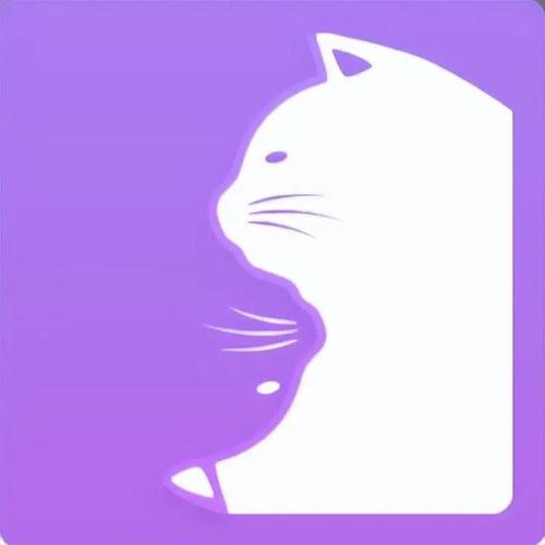 思聊两只猫app图标