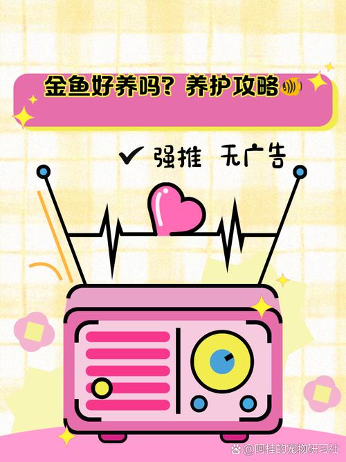 全民养金鱼赚钱截图