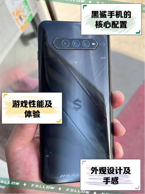 黑鲨阁手机版图标