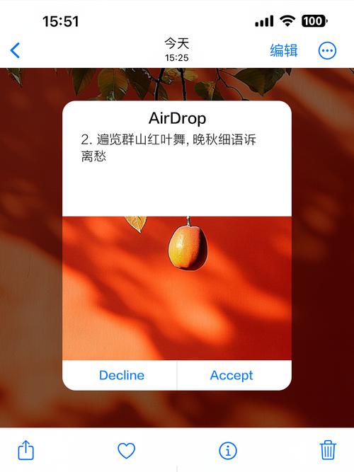 晚秋软件库