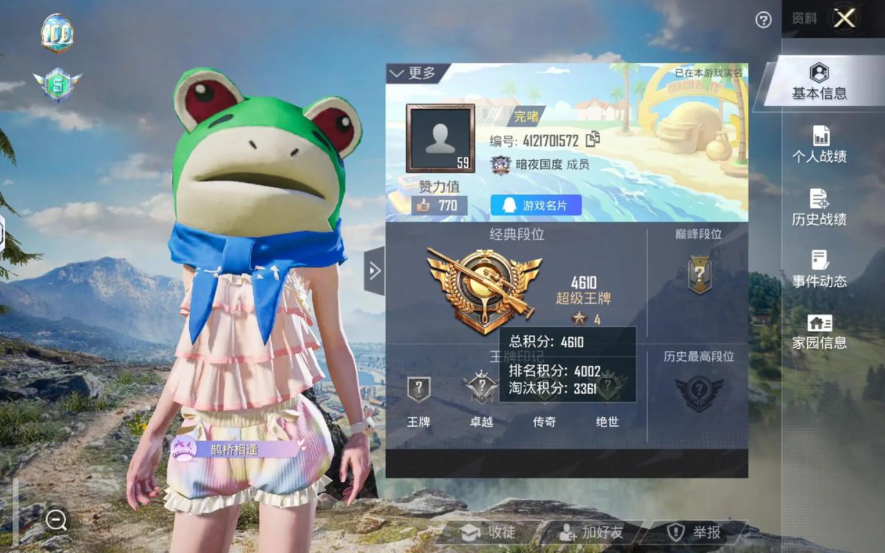 吃鸡海岛神仙辅助