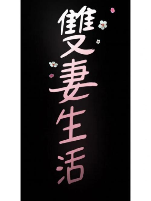 家有双妻漫画截图