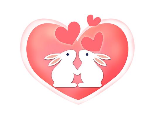 七夕兔画质比例助手图标