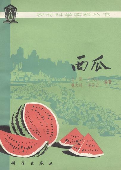 西瓜免费小说手机版截图