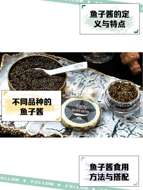 鱼子酱小说