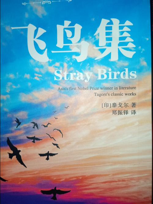 飞鸟小说(FLYINGBIRD)