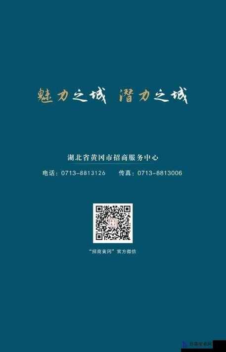 外国黄冈网站推广平台图标
