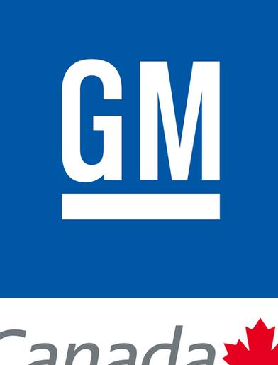 gm画质大师
