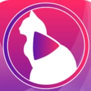 小猫直播app官方版截图