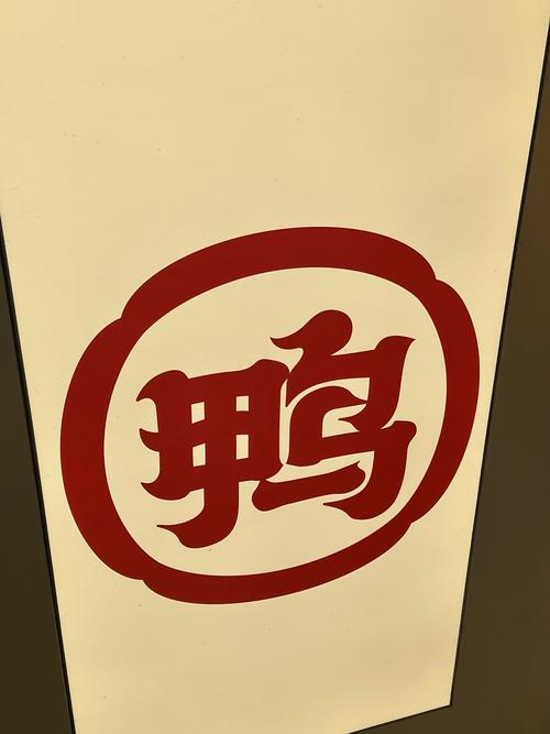 盐水鸭小说app手机版