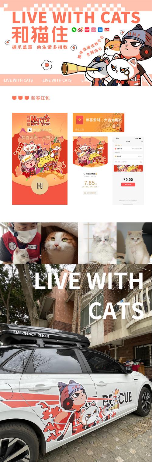 猫咪救援队红包版截图