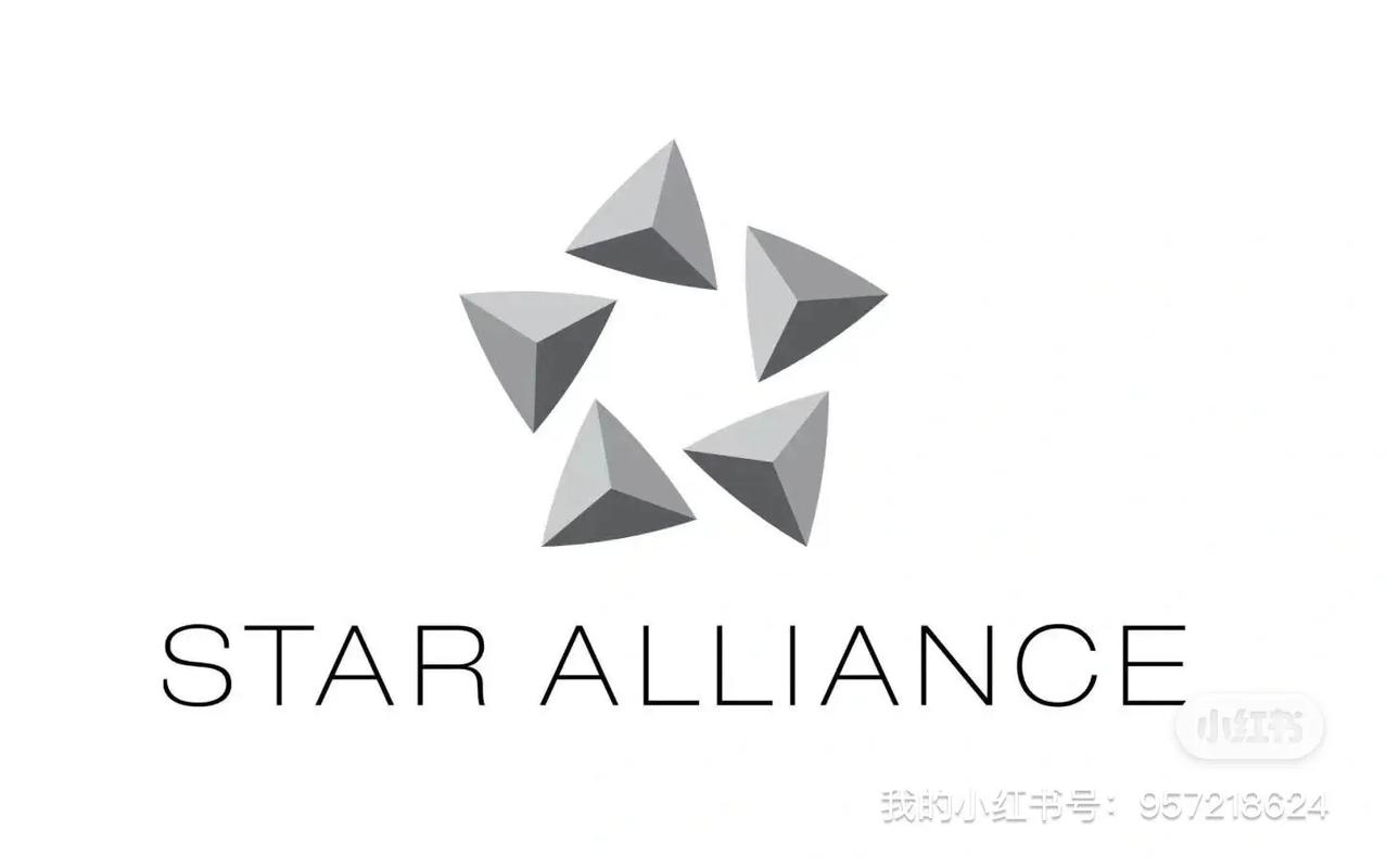 星芒联盟图标