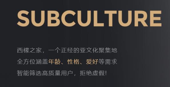 SMON软件