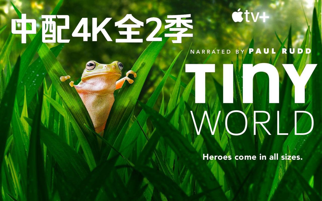Tinyview日漫截图