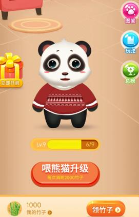 合个大熊猫