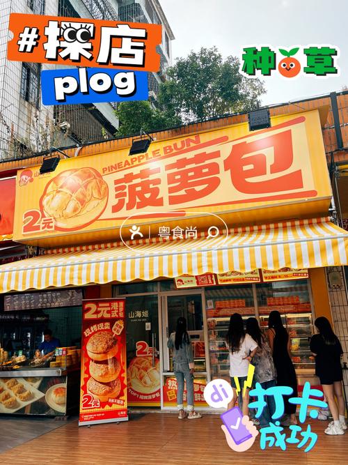 菠萝包(盗版书源)