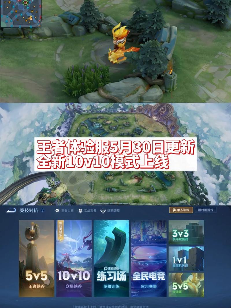 王者荣耀体验服辅助挂绿色版汉化版截图