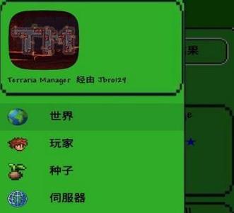 泰拉瑞亚内置MOD绿色钥匙纯净版截图