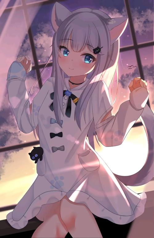 猫猫番免费版