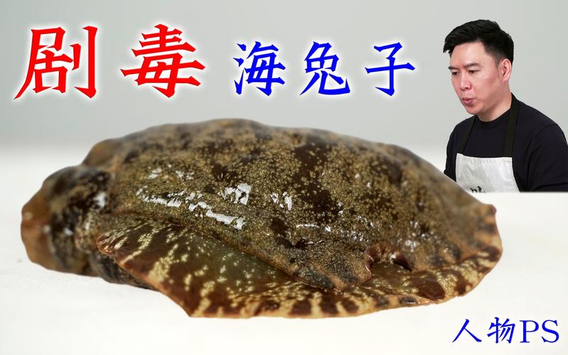 海兔资讯app图标