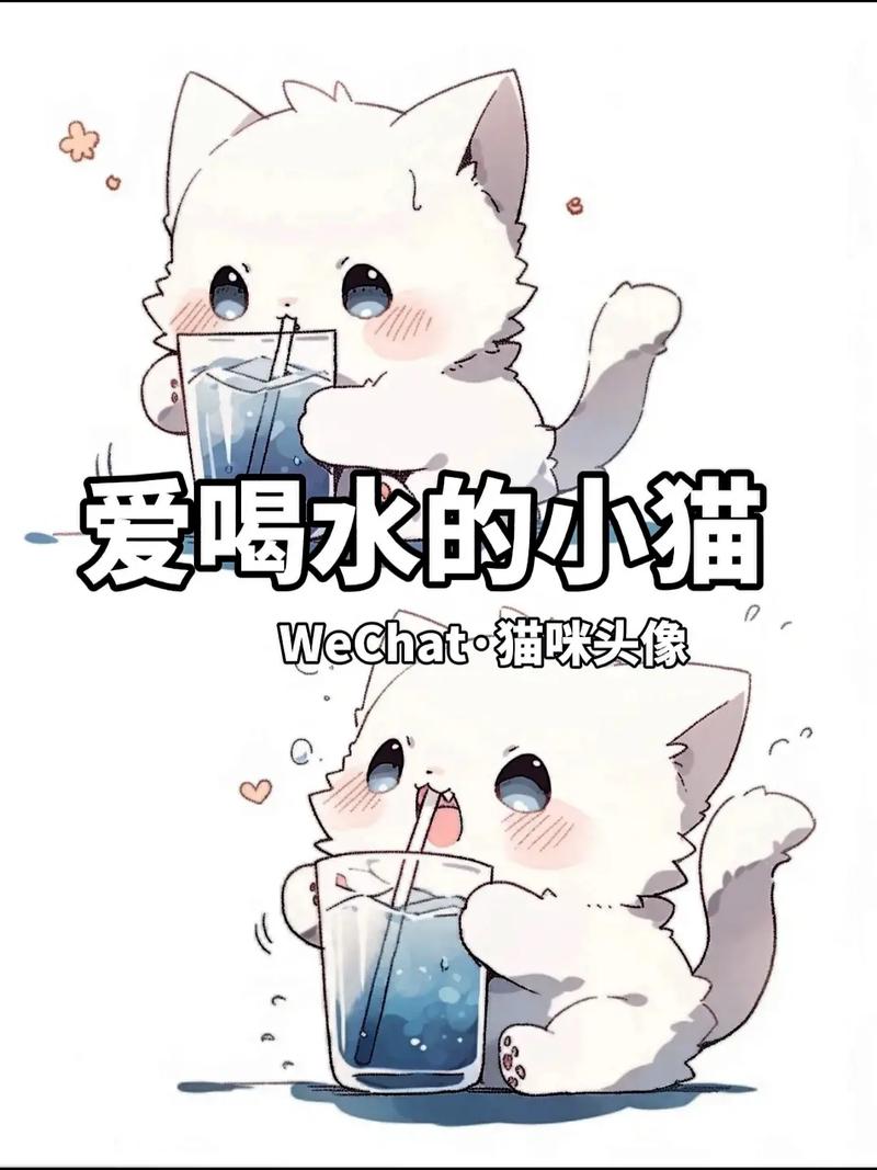 喵喵喝水截图