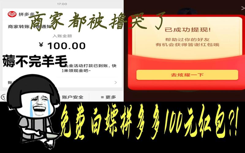 多多白嫖红包图标
