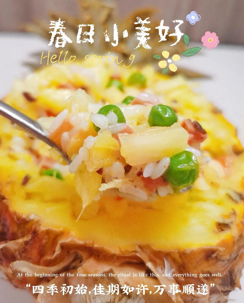 菠萝饭2022官方正版