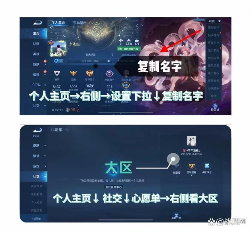 王者荣耀隐藏战绩查询安卓手机版截图