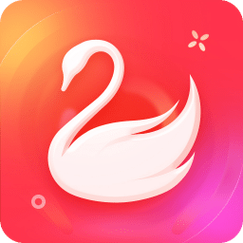 天鹅网app（转发文章赚钱）