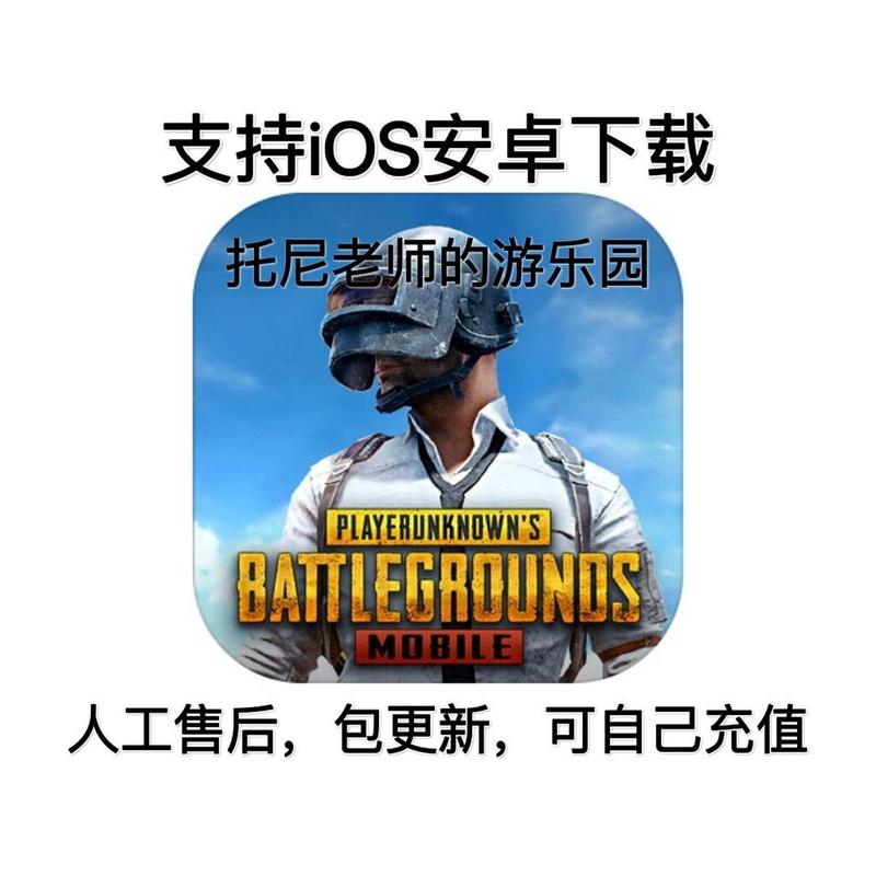 樱花框架辅助PUBG图标