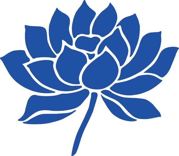 蓝莲花我爱你截图
